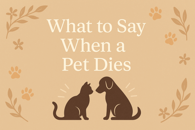 What to Say When a Pet Dies – What to Say When